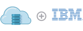 Integrate Database + IBM BPM